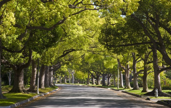 Welfare Soars in Ritzy Suburbs | TIME.com